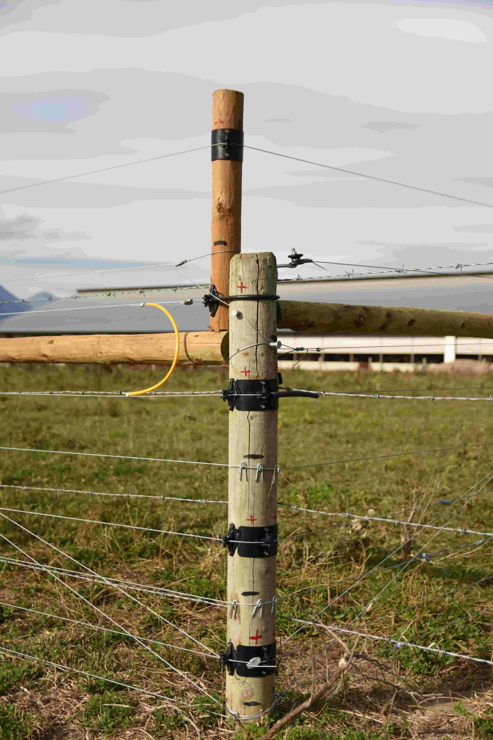 Guide to Electric Fence Insulators - Margo Supplies LLC.